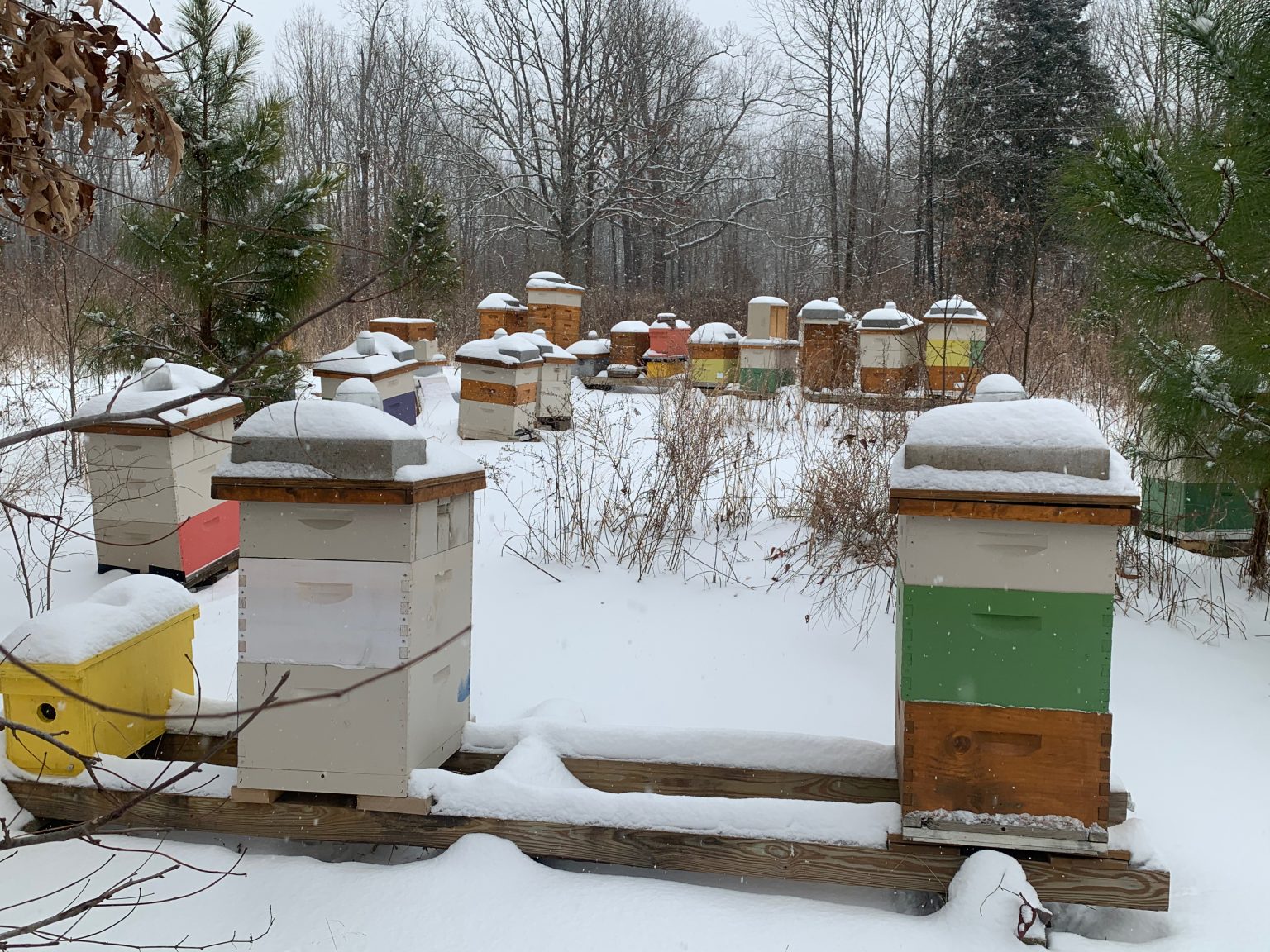 DIY Telescoping Outer Cover - Backyard Beekeeping